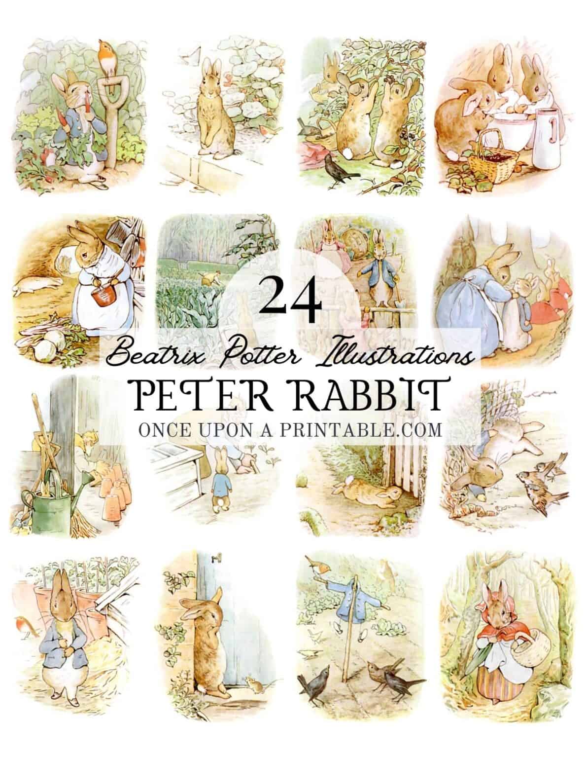 24 Tale of Peter Rabbit Images by Beatrix Potter Free - Once Upon A ...