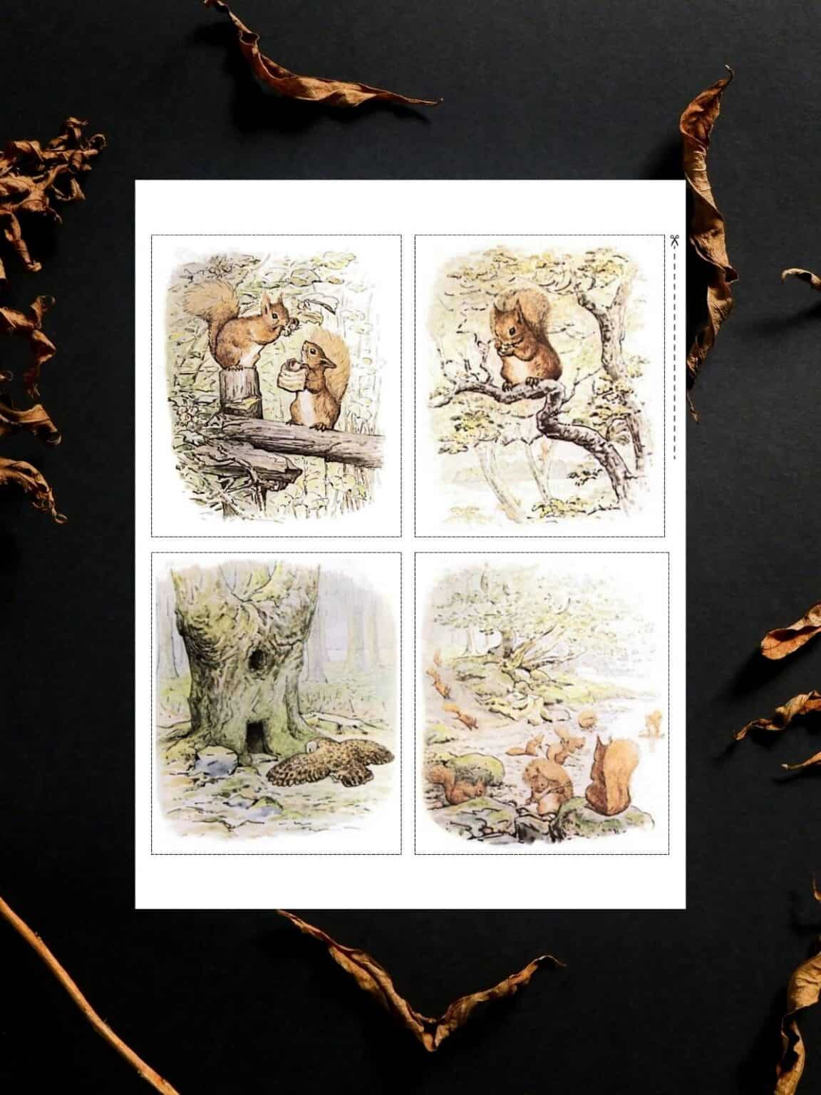 The Tale of Squirrel Nutkin Free Printable Illustrations - Once Upon a ...
