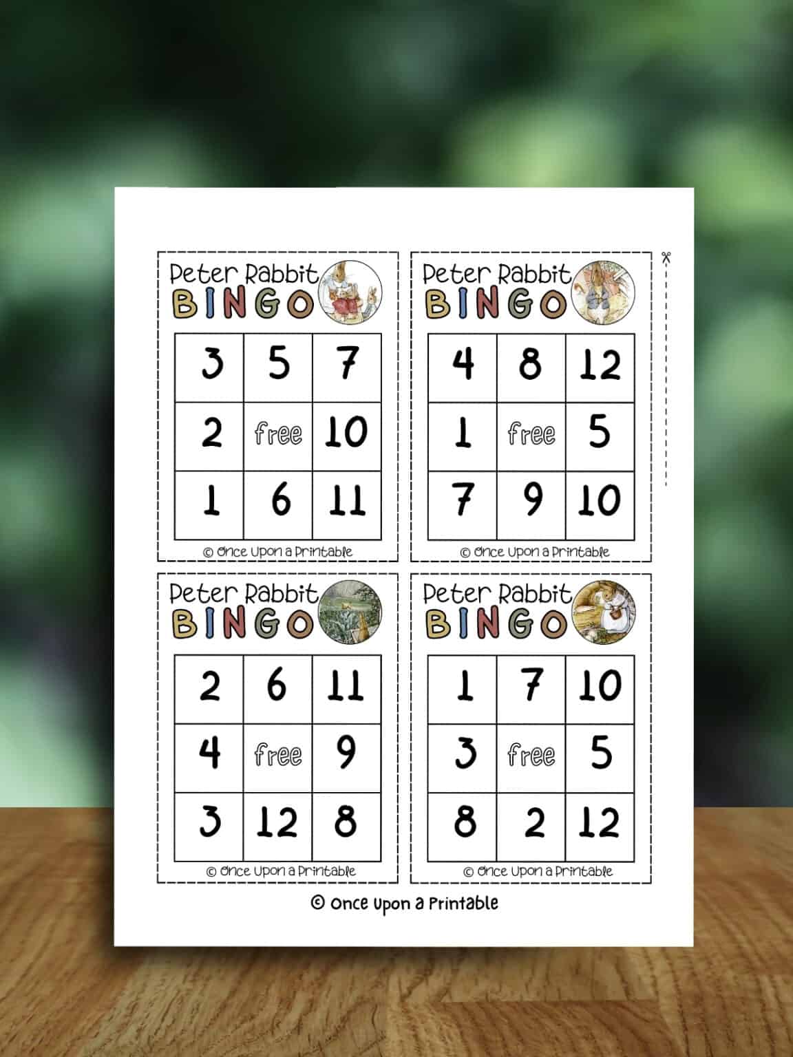 The Tale of Peter Rabbit Bingo Game Free Printable - Once Upon a Printable