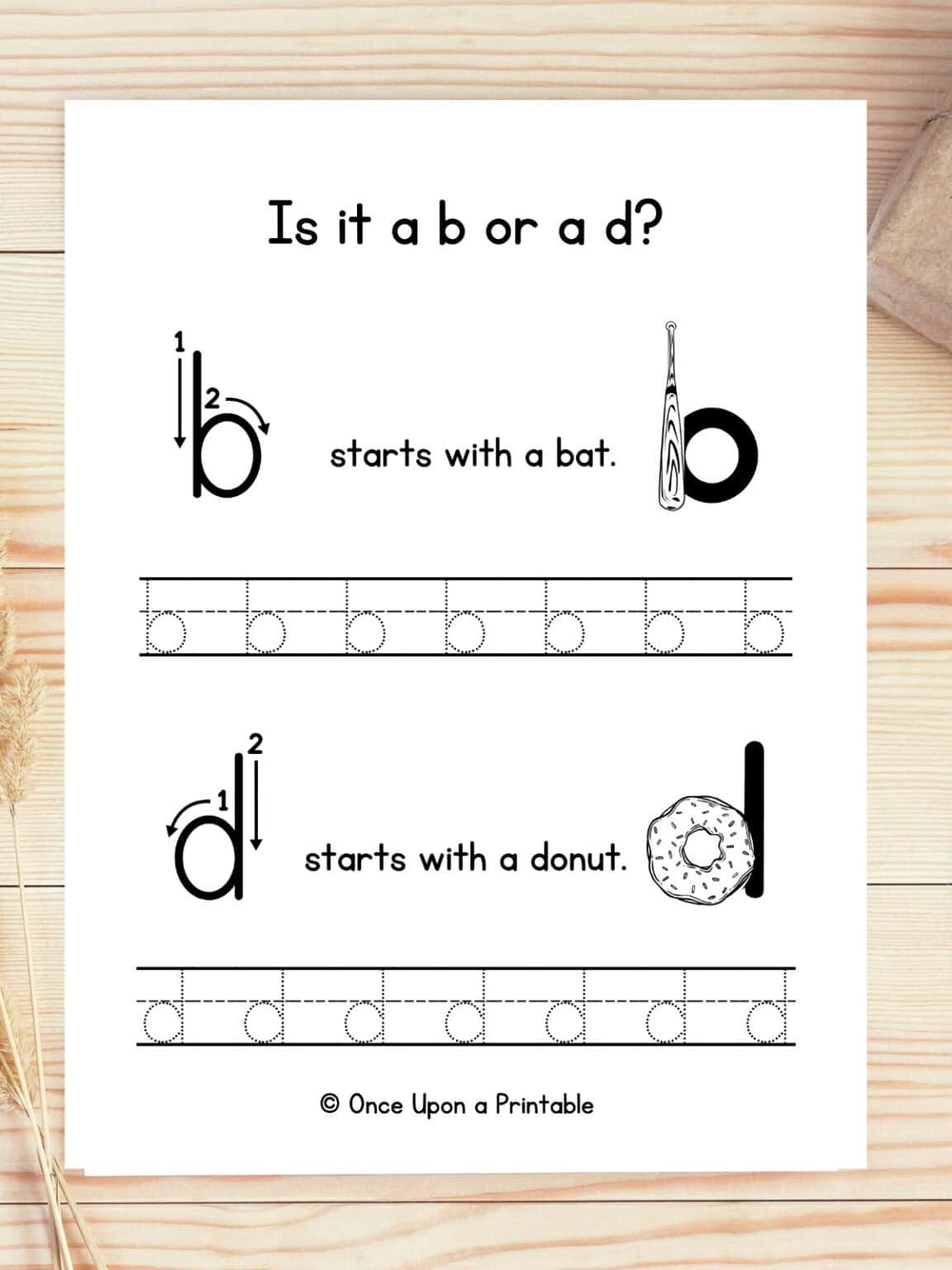 Letter B Unit Study Worksheets (Free Printables) - Once Upon a Printable