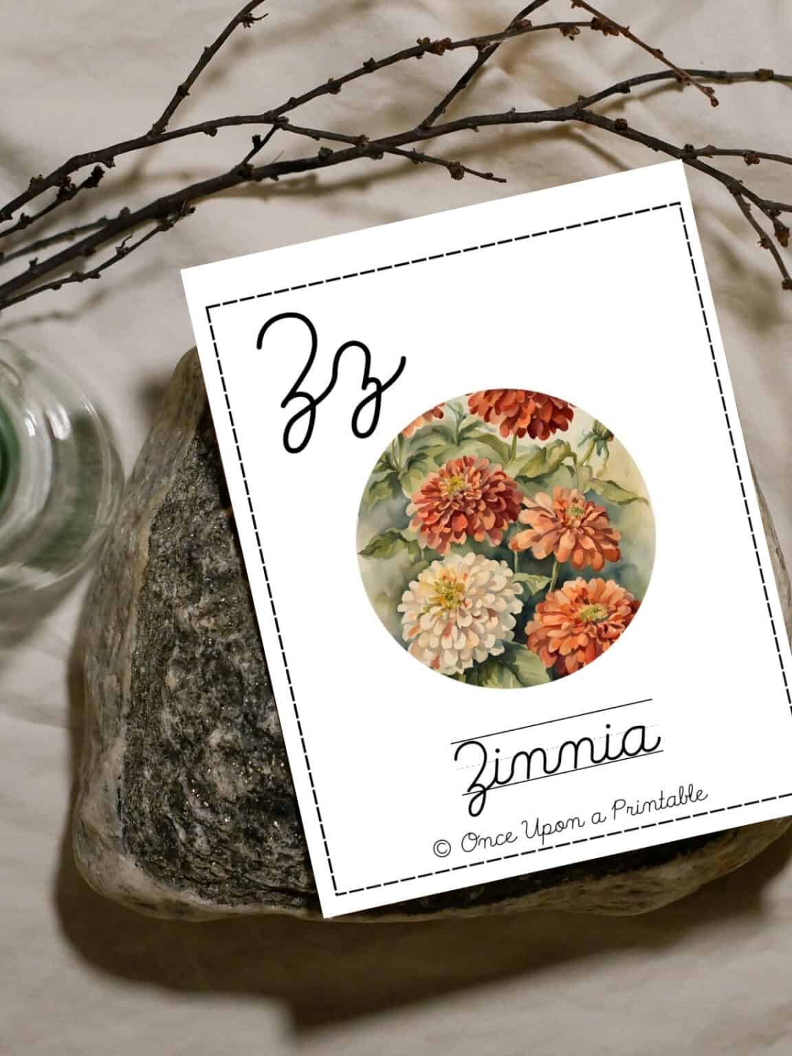 North American WildFlower Alphabet Cursive Cards (Free to Print) - Once ...