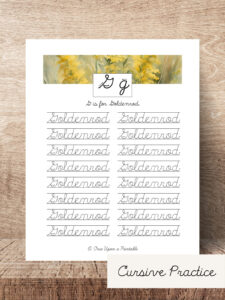 North American Wildflower Cursive Worksheets (Free to Print) - Once ...
