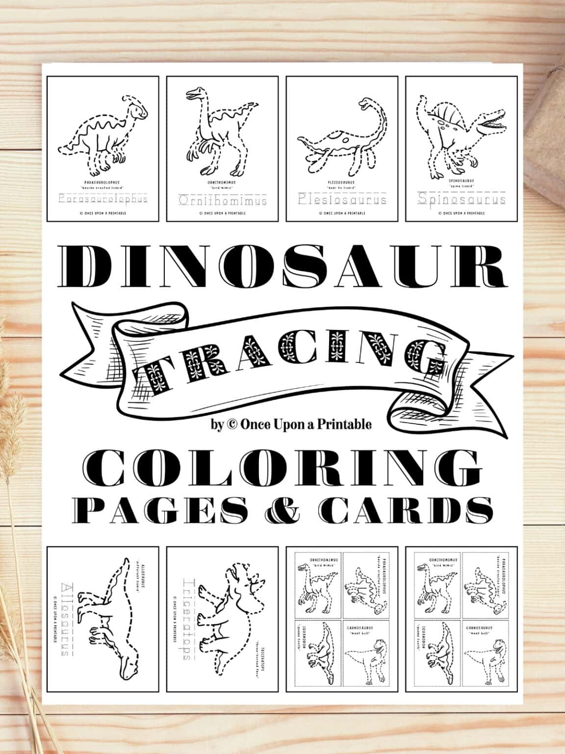 Dinosaur Tracing Coloring Pages (Free Printable) - Once Upon a Printable