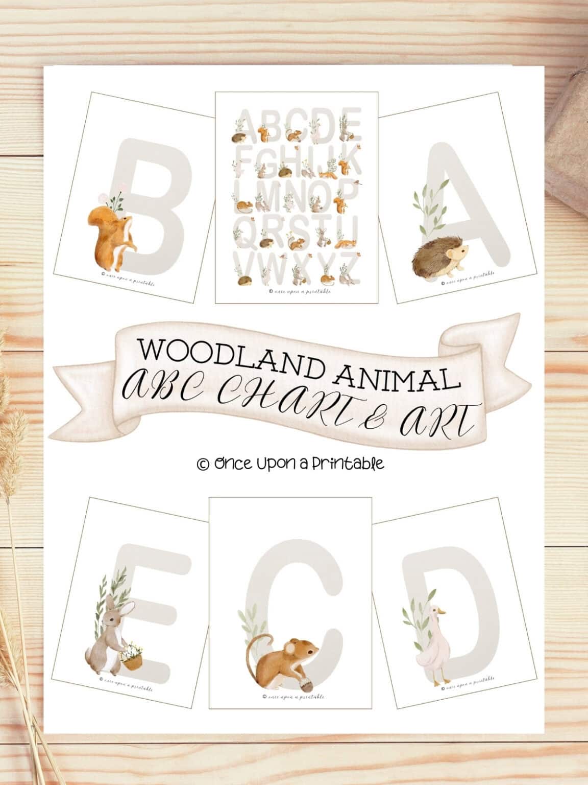 Woodland Animal Alphabet Chart (Free Printable) - Once Upon a Printable