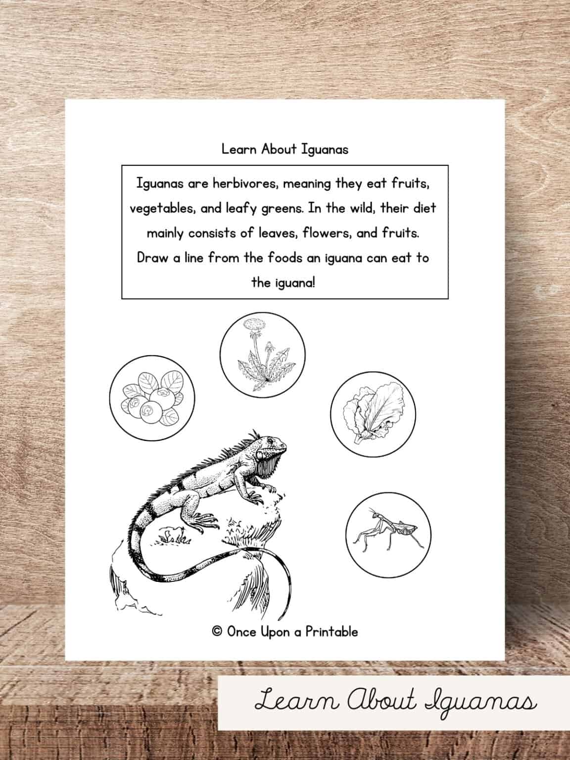 Letter I Worksheets (Free Printables) - Once Upon a Printable