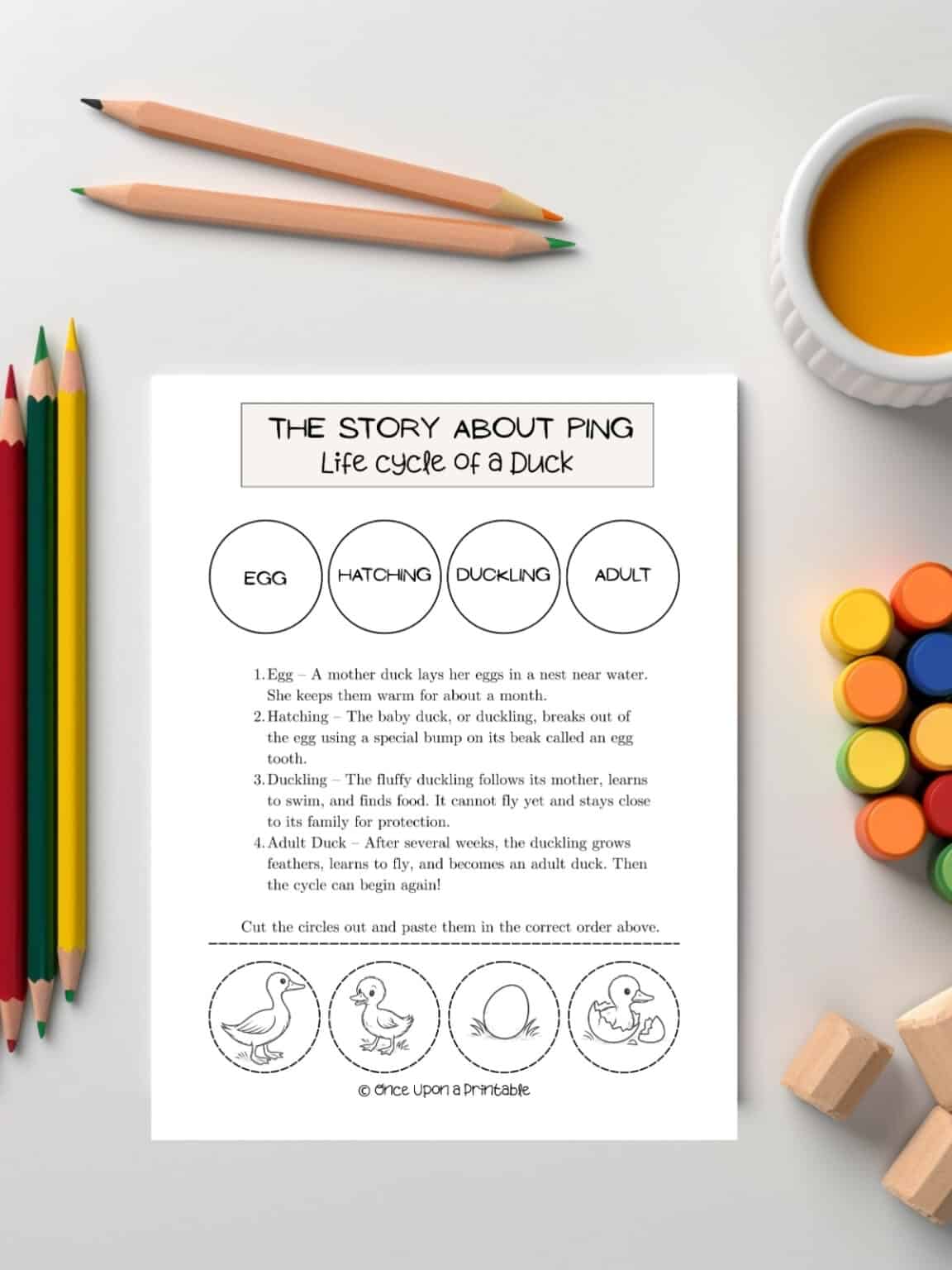 The Story About Ping Worksheets - Once Upon a Printable