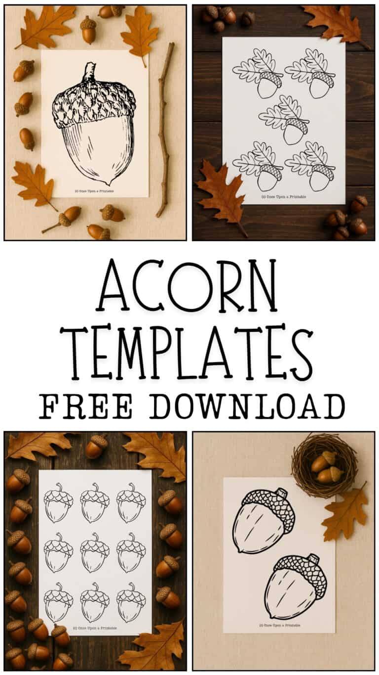 Acorn Templates (Free Printables) - Once Upon a Printable