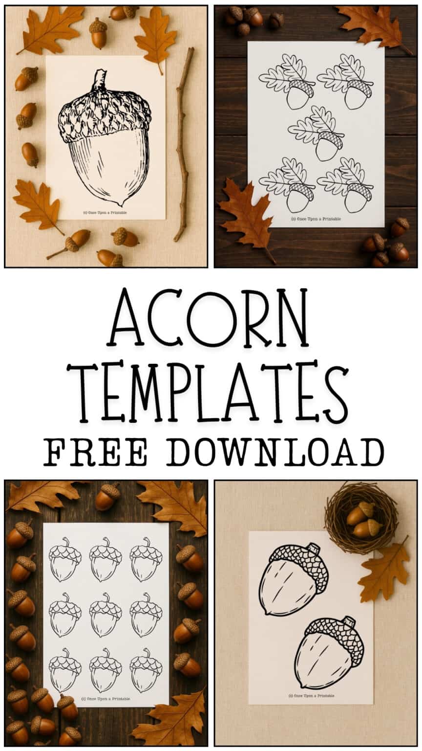 Acorn Templates (Free Printables) - Once Upon a Printable