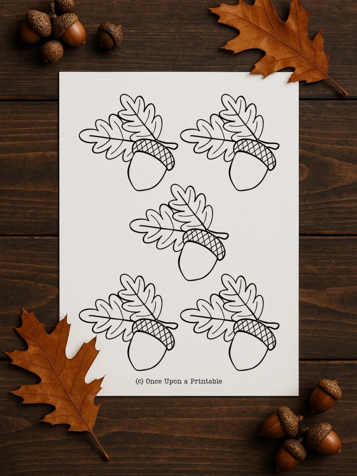 Acorn Templates (Free Printables) - Once Upon a Printable
