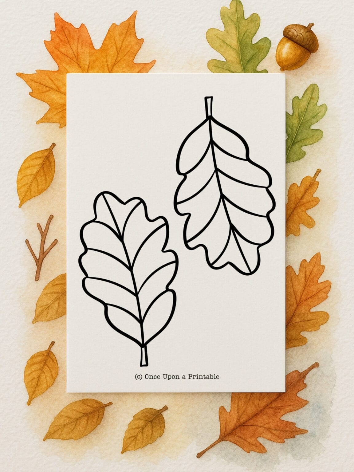 Leaf Templates (Free Printables) - Once Upon a Printable