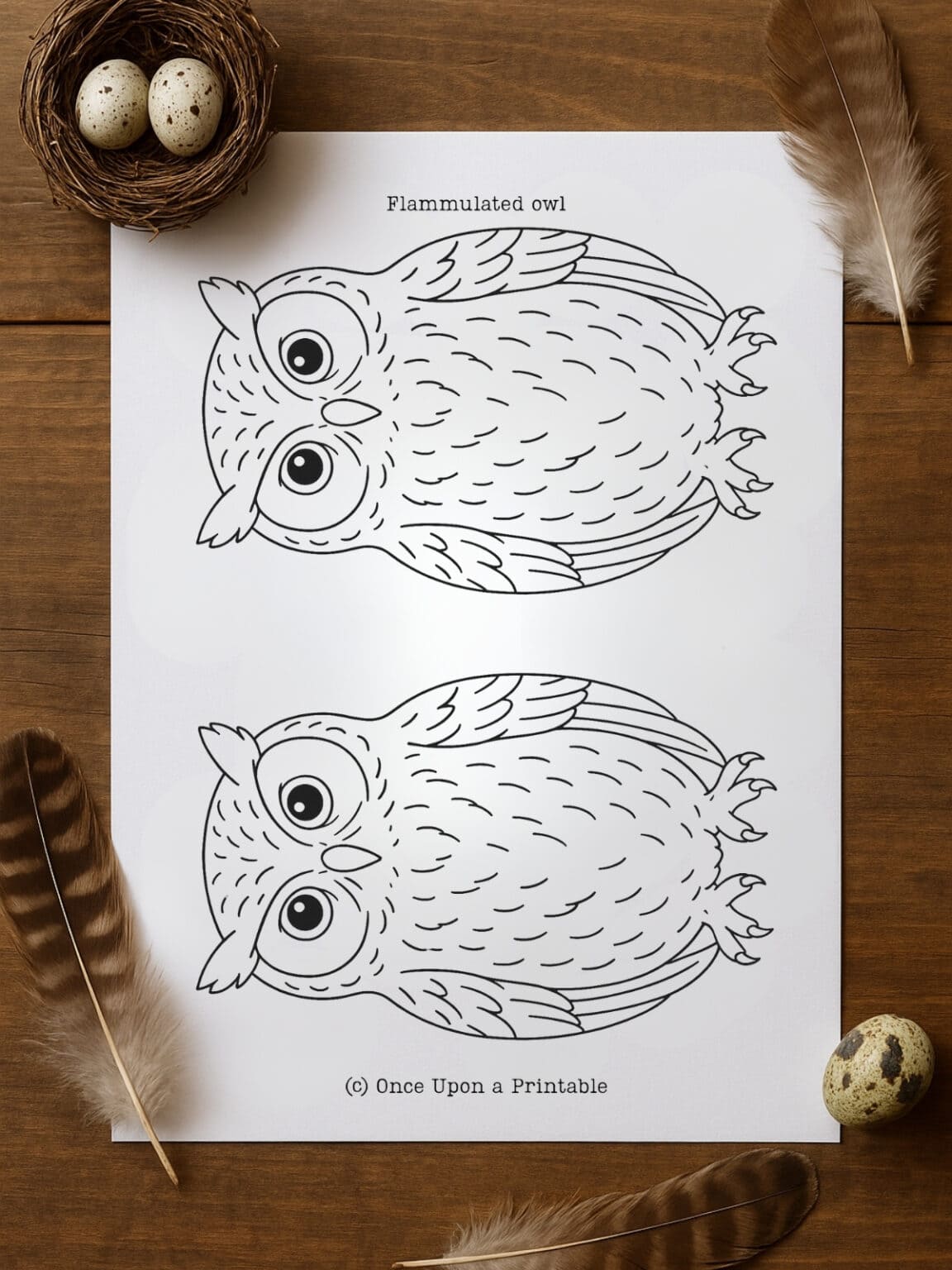 Owl Template (Free Printable) - Once Upon a Printable