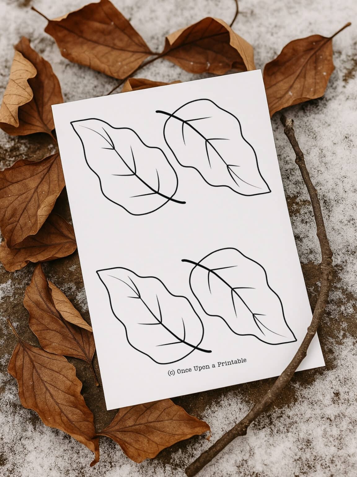 Leaf Templates (Free Printables) - Once Upon a Printable