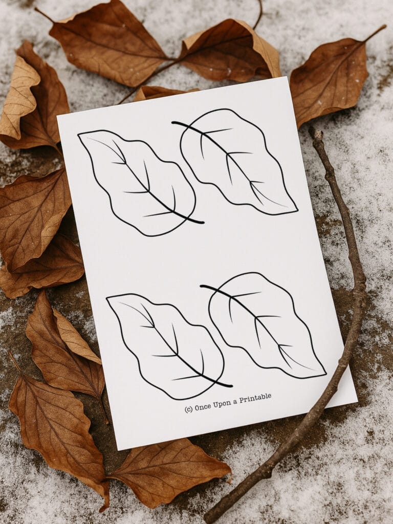 Leaf Templates (Free Printables) - Once Upon a Printable