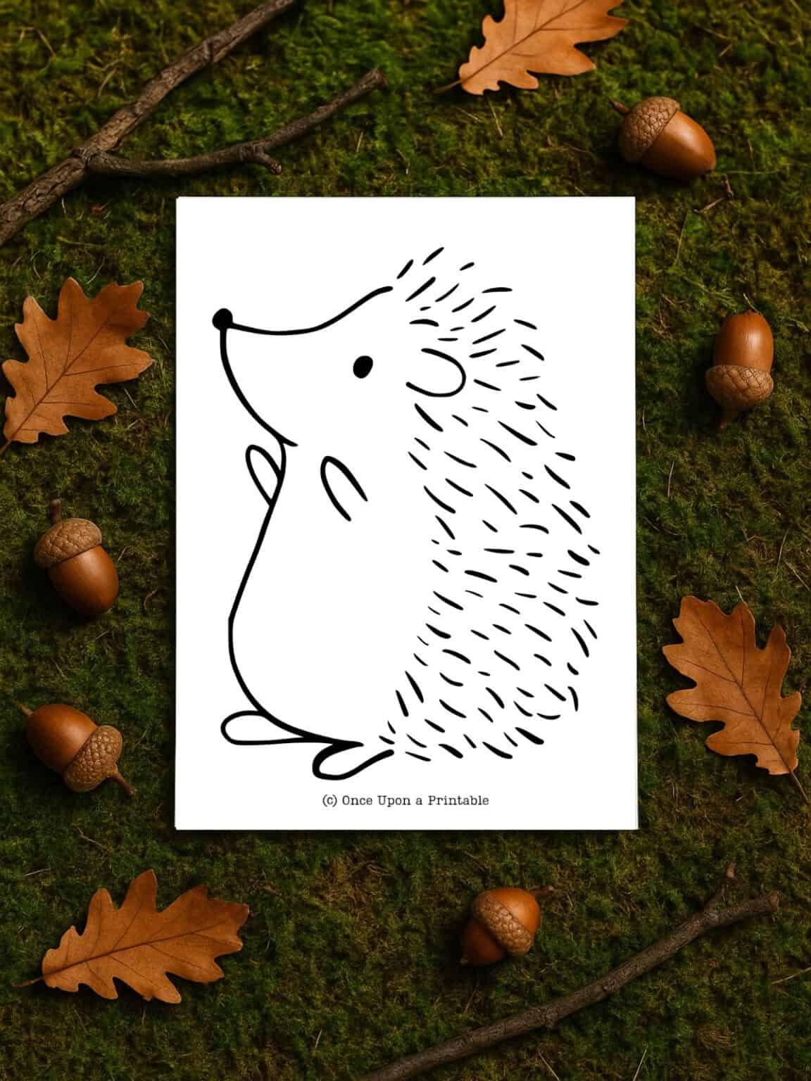 Hedgehog Templates (Free Printables) - Once Upon a Printable