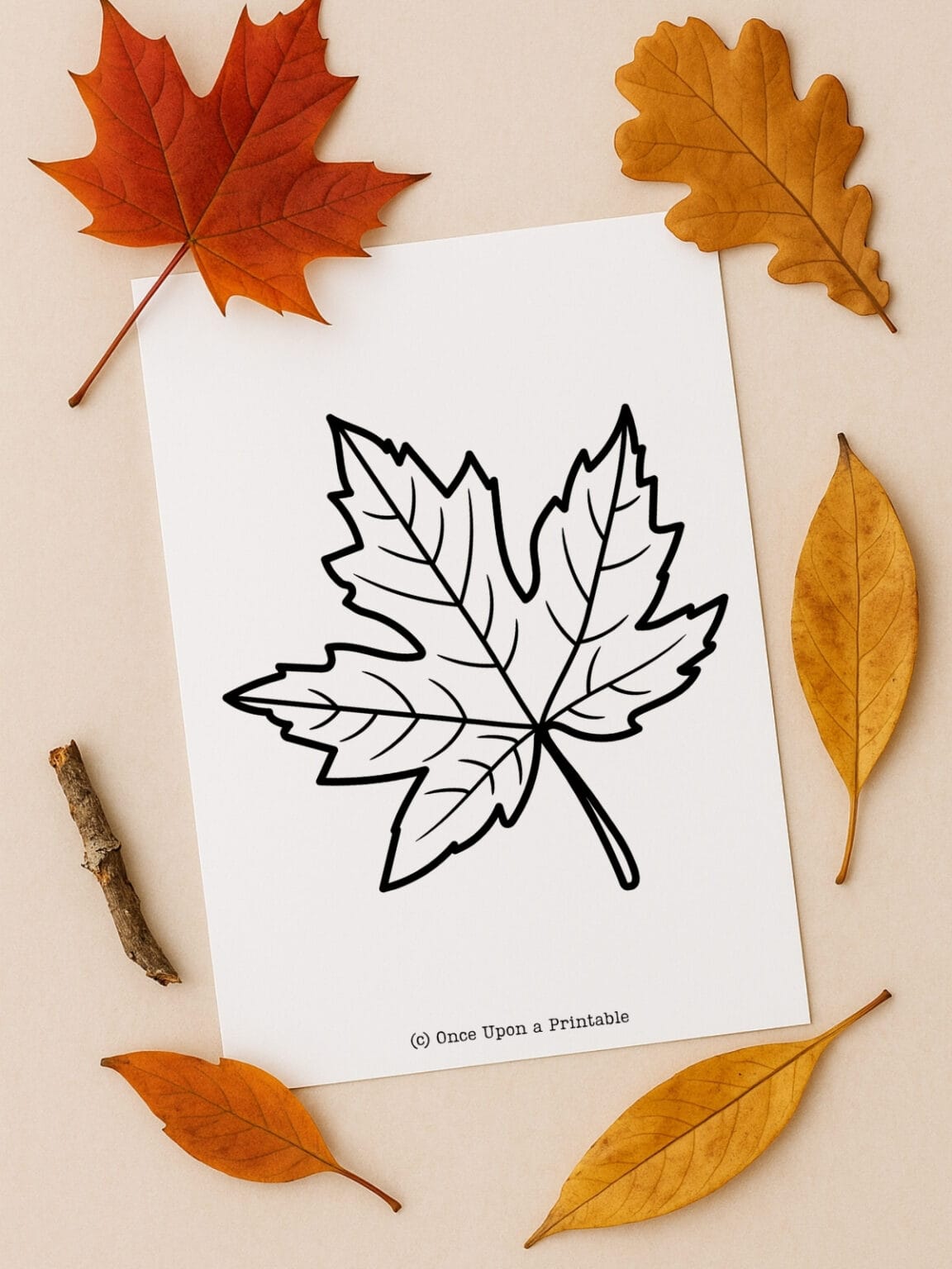 Leaf Templates (Free Printables) - Once Upon a Printable