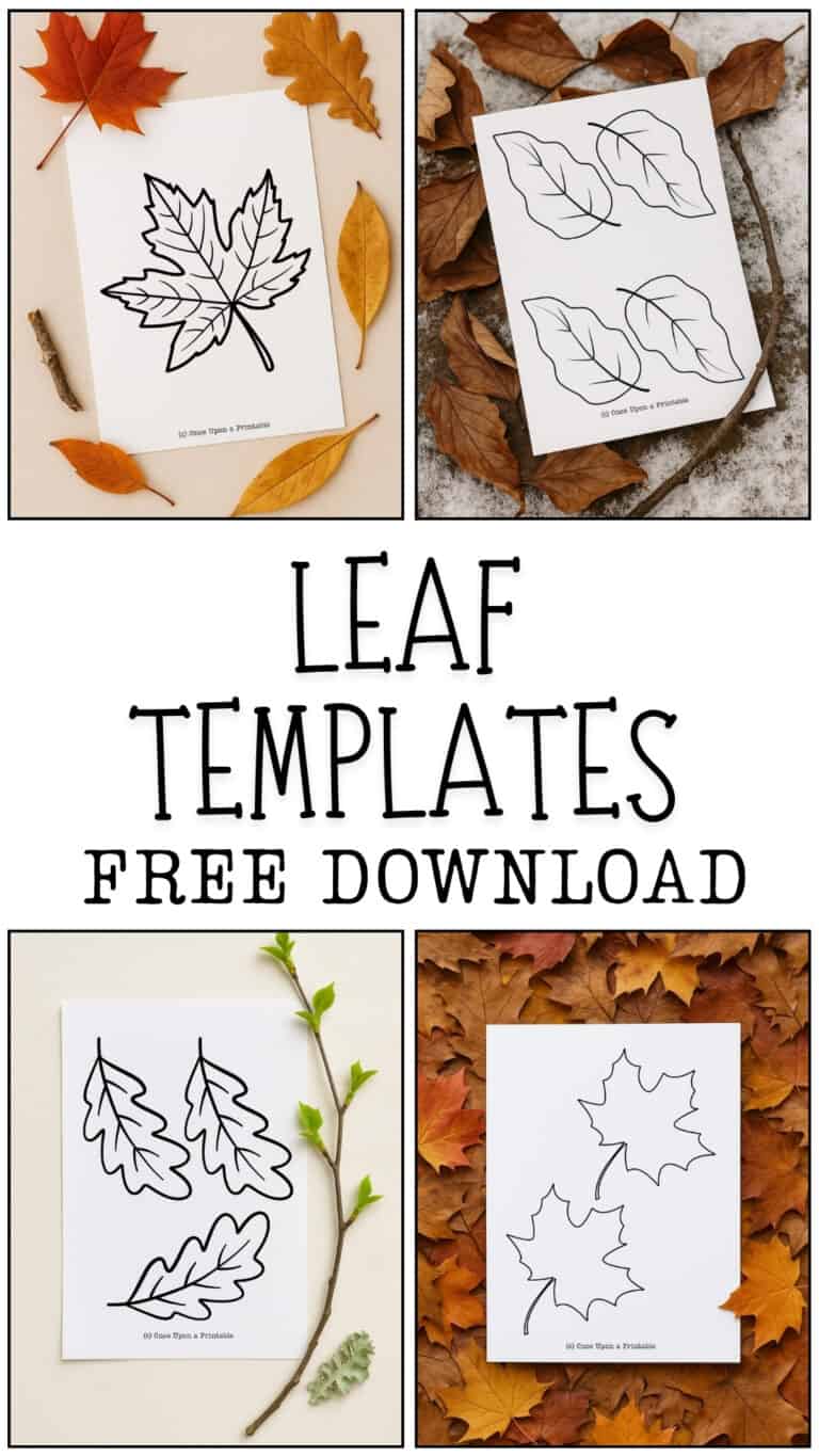 Leaf Templates (Free Printables) - Once Upon a Printable