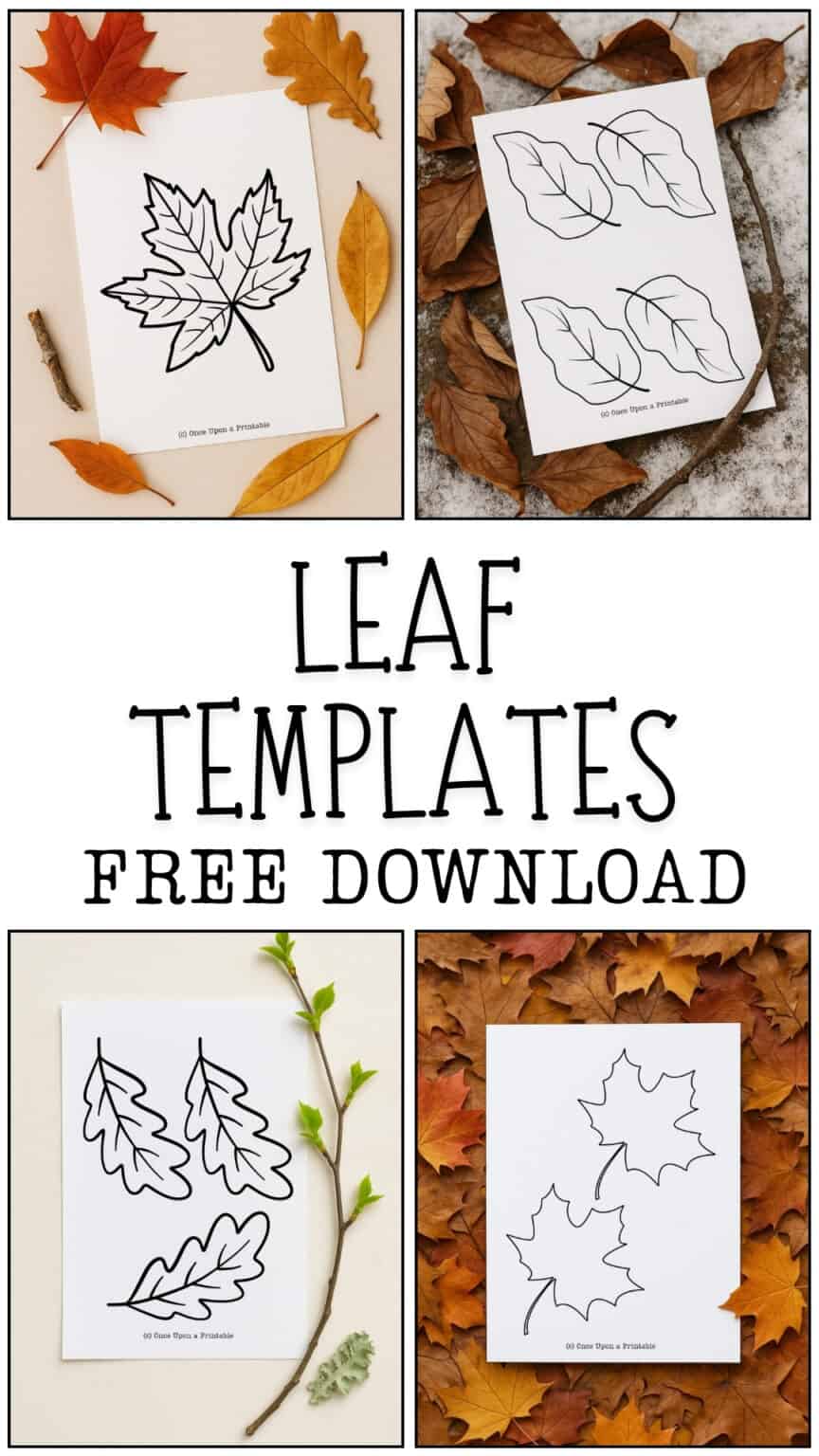 Leaf Templates (Free Printables) - Once Upon a Printable
