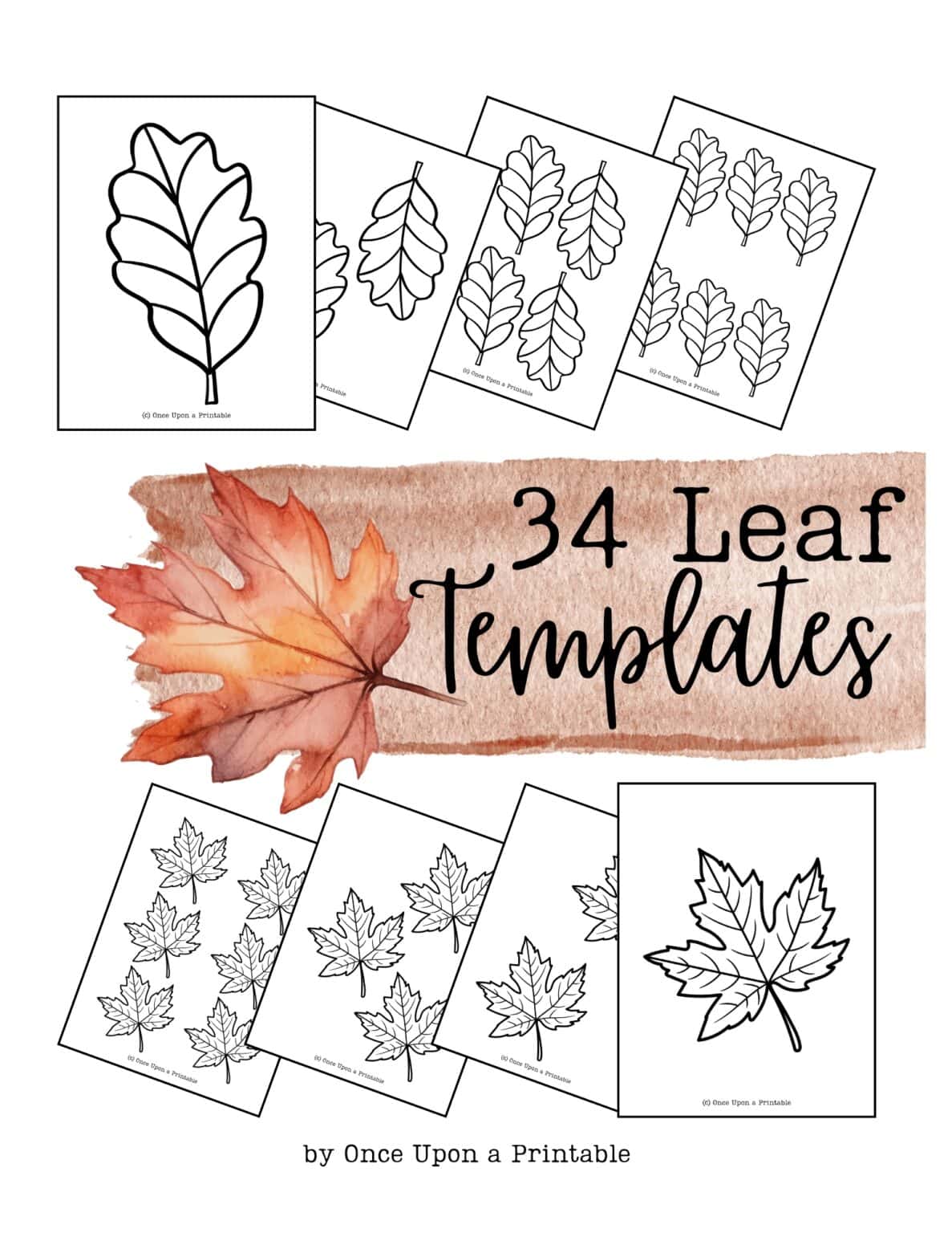 Leaf Templates (Free Printables) - Once Upon a Printable