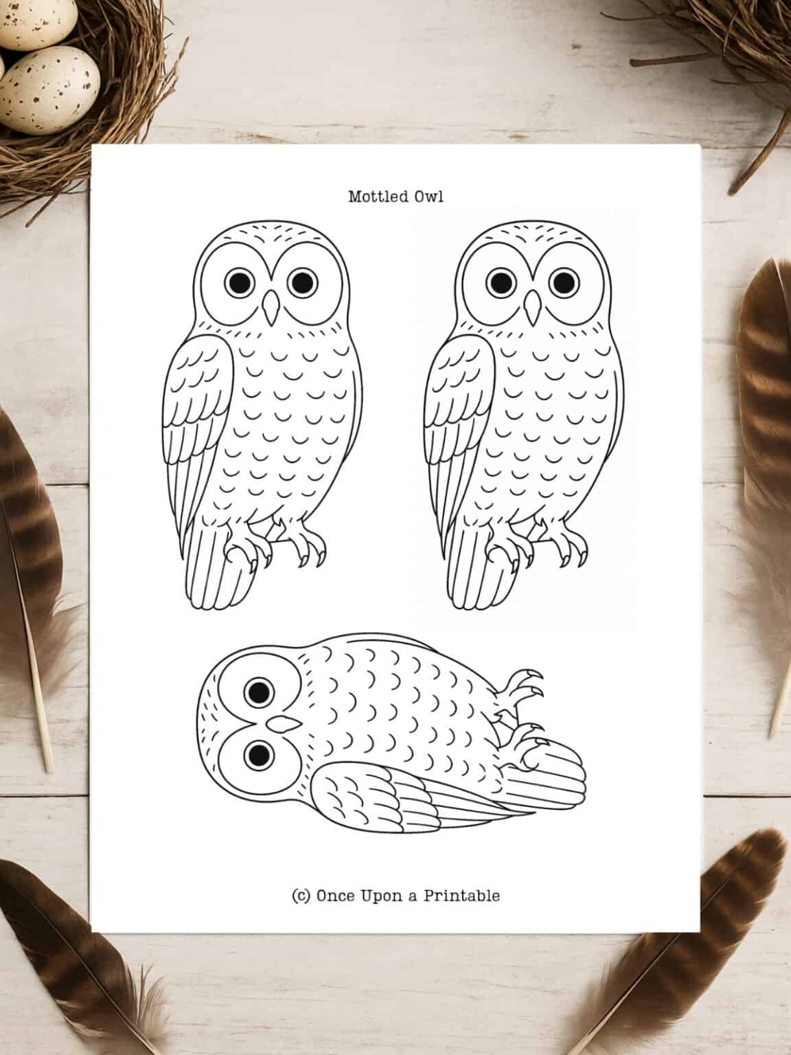 Owl Template (Free Printable) - Once Upon a Printable