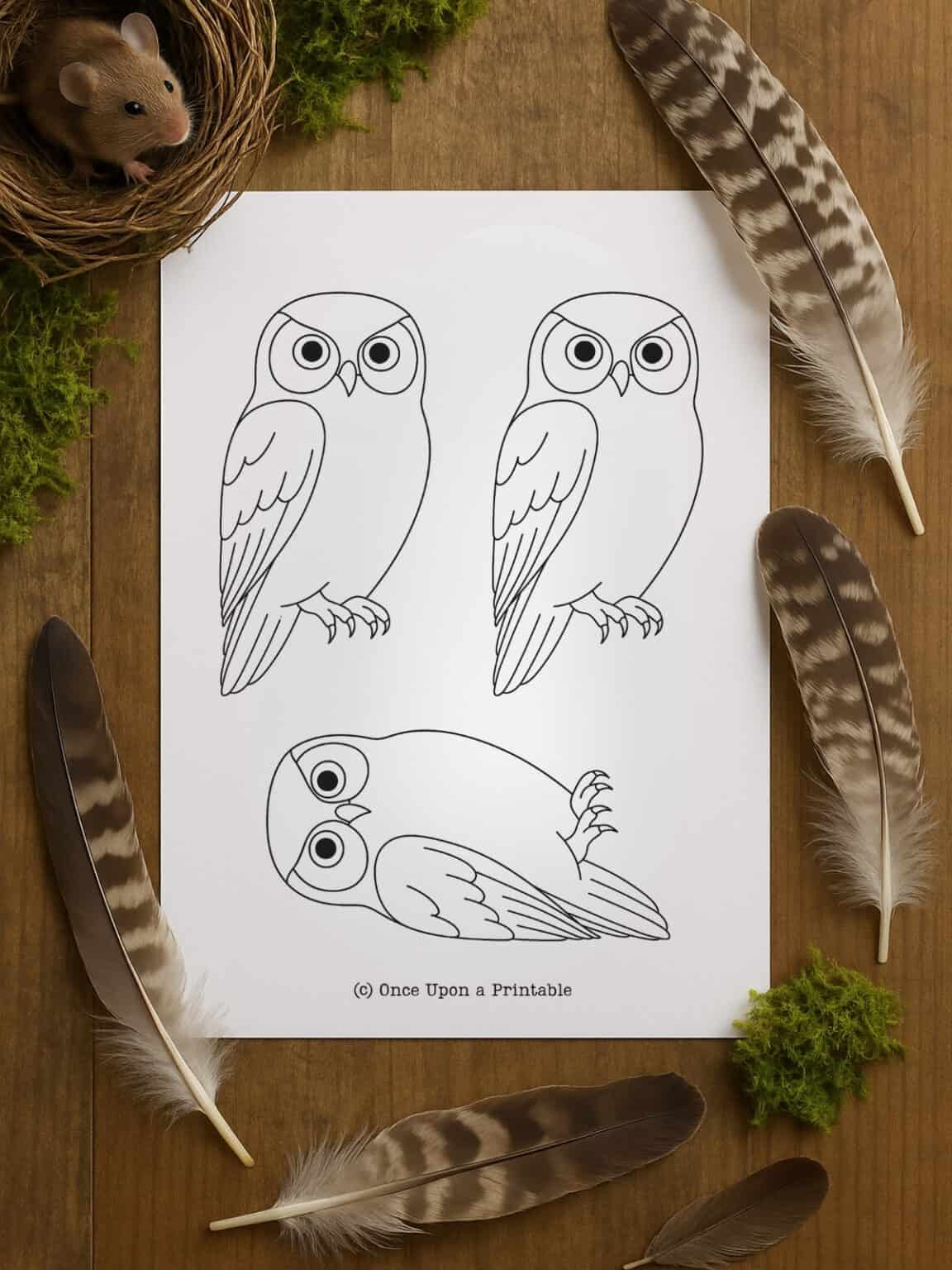 Owl Template (Free Printable) - Once Upon a Printable