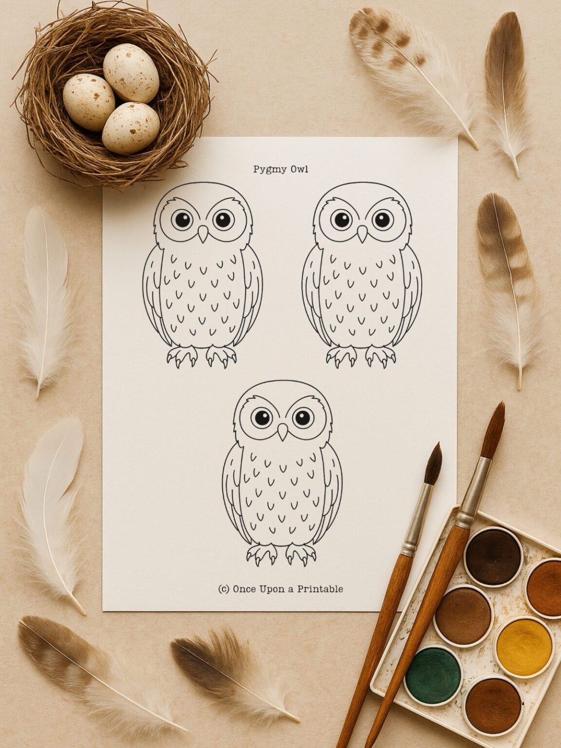 Owl Template (Free Printable) - Once Upon a Printable