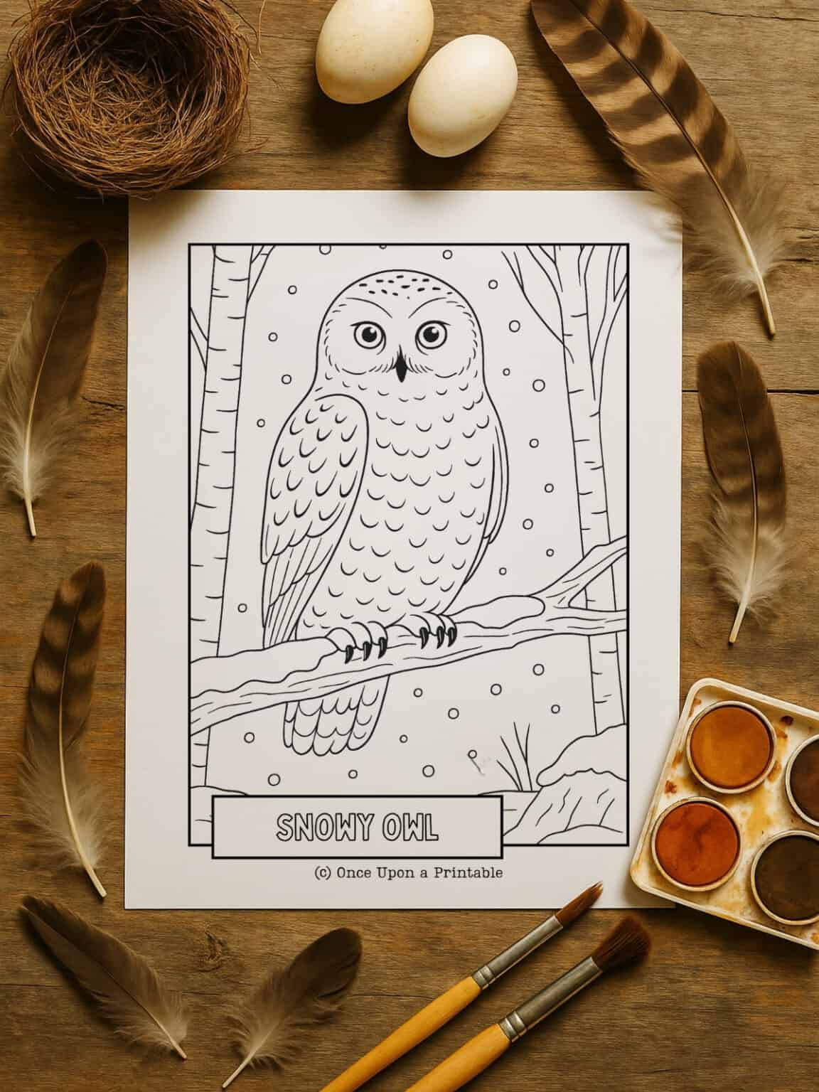 Owl Coloring Pages (Free Printables) - Once Upon a Printable