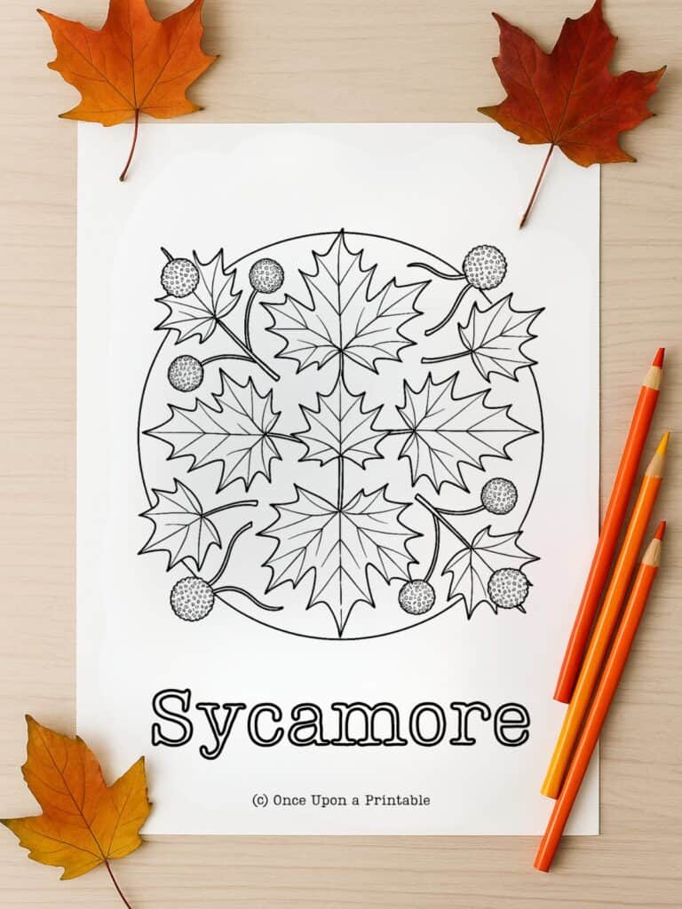 69 Fall Leaves Coloring Pages (Free Printables for All Ages) - Once ...