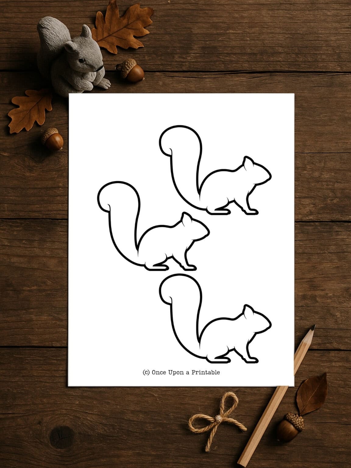 Squirrel Templates (Free Printables) - Once Upon a Printable