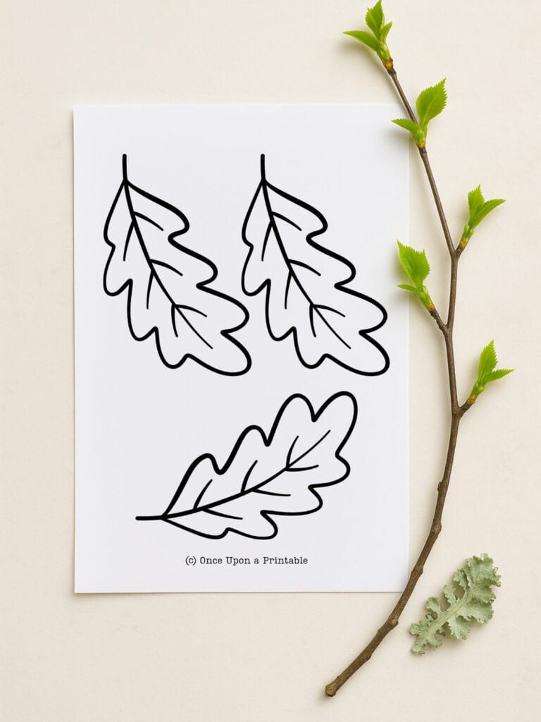 Leaf Templates (Free Printables) - Once Upon a Printable